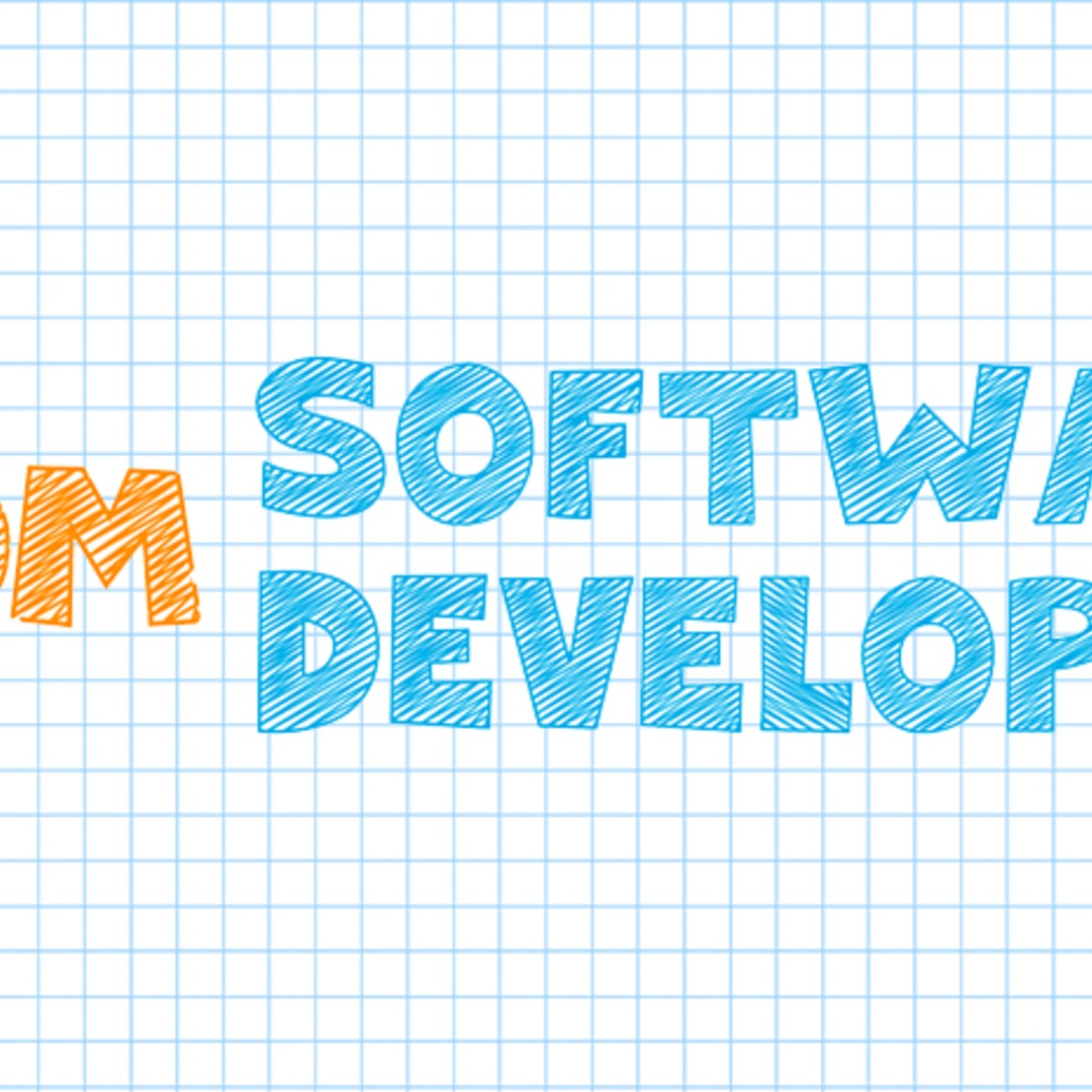 Binary Evolution - Custom Software Development: Our Process