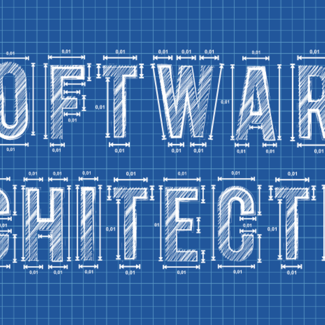 Binary Evolution - Software Architecture