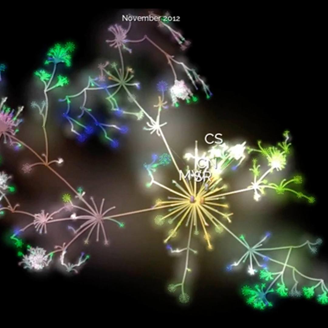 Binary Evolution - The Evolution of Genome